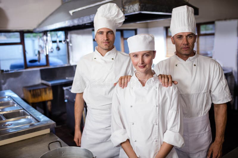 Group of Chefs Standing in Kitchen Stock Photo - Image of industry ...