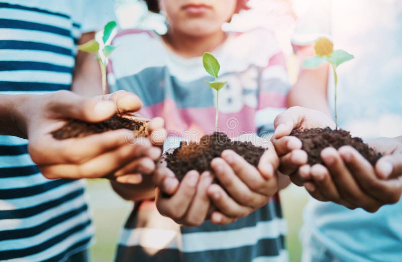 Group, Children and Hands with Plant in Soil for Earth Day, Commitment ...