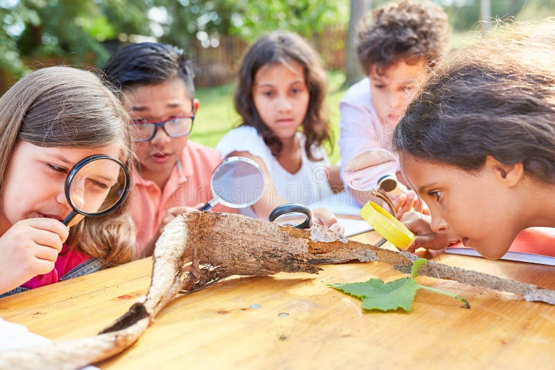 Group of Children Interested in Looking at Tree Bark Stock Photo ...