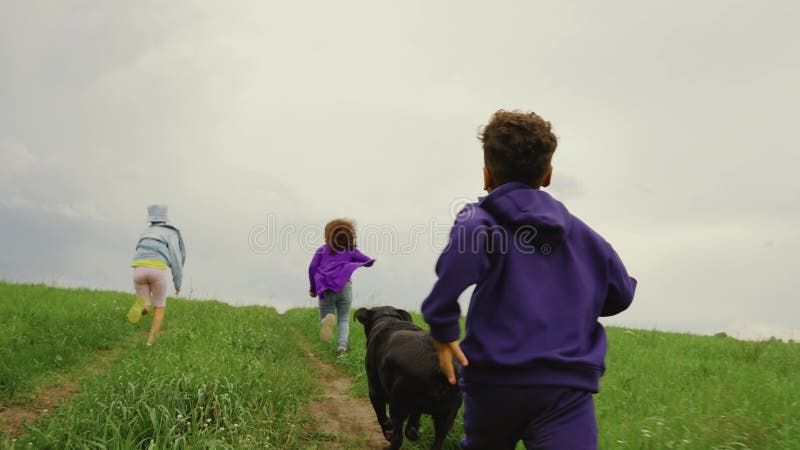 Children Running in a Field with a Labrador Dog Stock Video - Video of ...