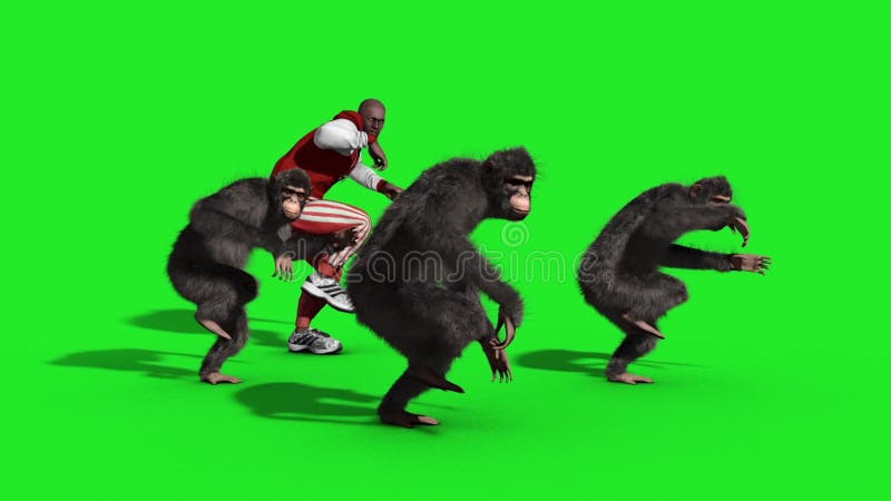 Group Chimpanzee Man House Dance Dancer Green Screen 3D Rendering ...
