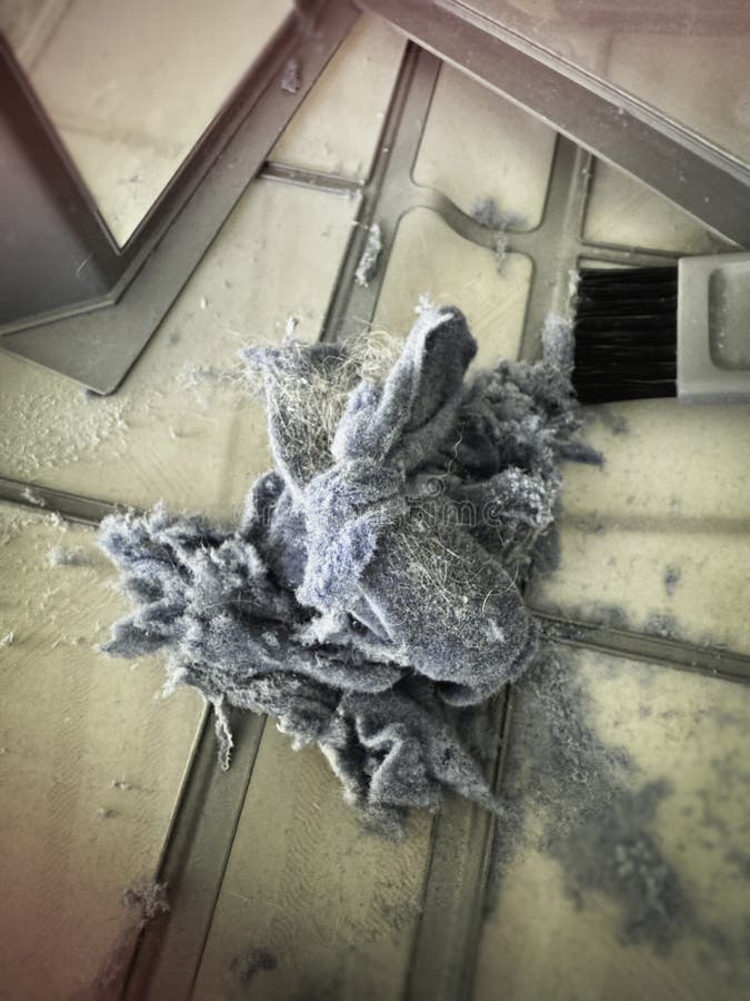 Group of Cloth Dust on Filter Was Brush from Dryer Machine Stock Photo ...