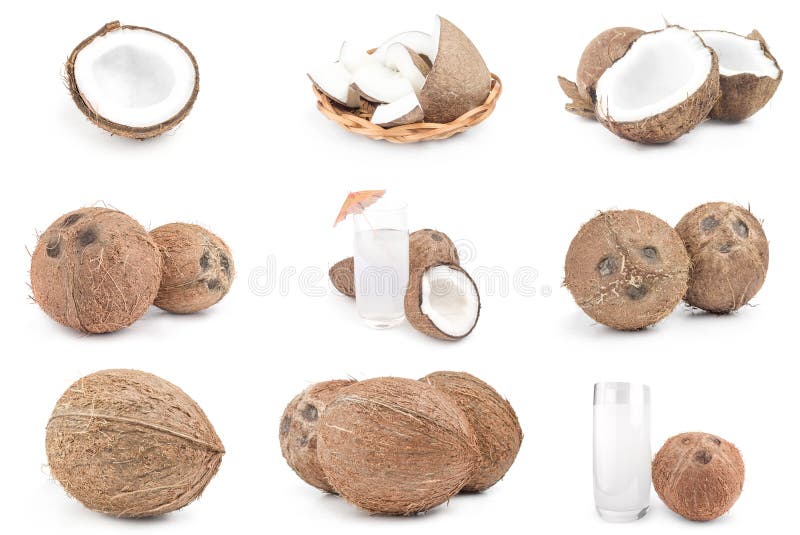 Group of Coconut Close-up on White Stock Photo - Image of cutted ...