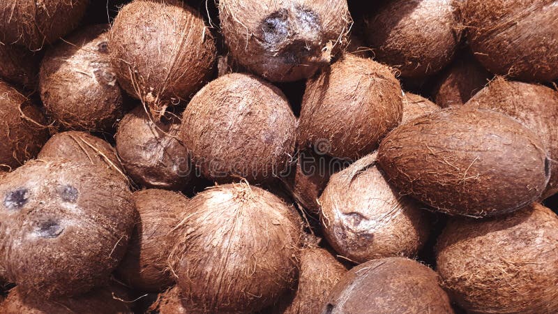 Group of Coconuts. Close-up Red Coconuts Texture Stock Photo - Image of ...