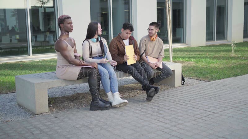 A Group of College Students Talk on the Campus of the University during ...