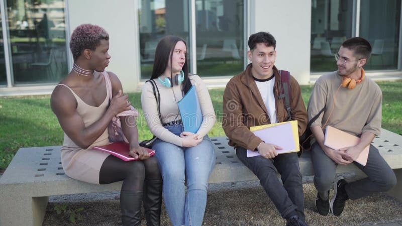 A Group of College Students Talk on the Campus of the University during ...