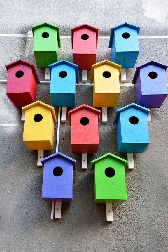 Group Colored Starlings Boxes on the Wall (hotel, Hostel, Accom Stock ...