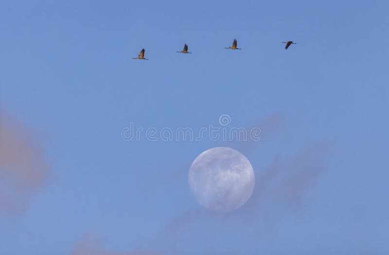 Full Mooin Stock Photos - Free & Royalty-Free Stock Photos from Dreamstime