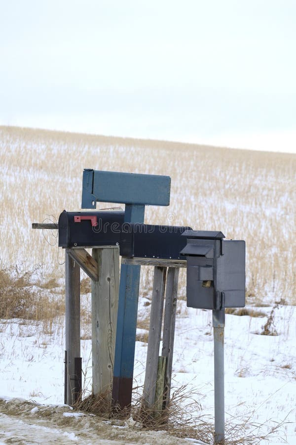 A Group of Country Mail Boxes. Stock Photo - Image of setting, tree ...