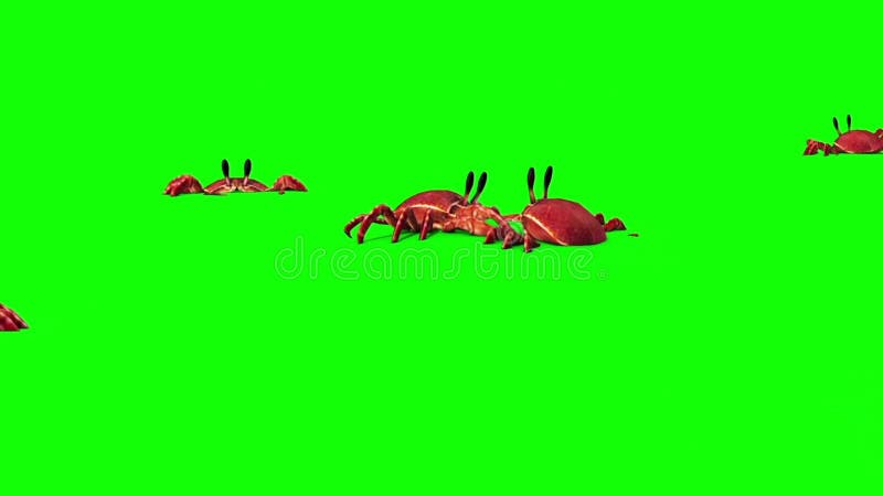 Group of Crab on the Sand Green Screen 3D Rendering Animation Stock ...