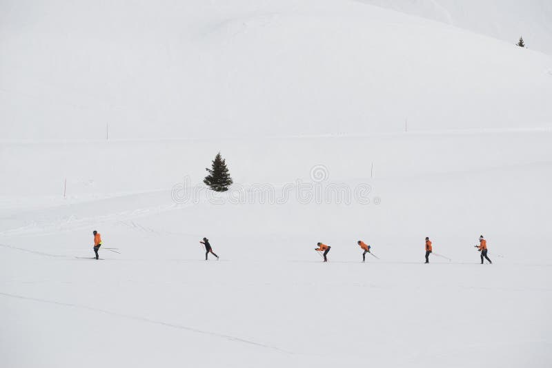 Group of Cross Country Skiers Training on a Ski Resort Editorial Stock ...