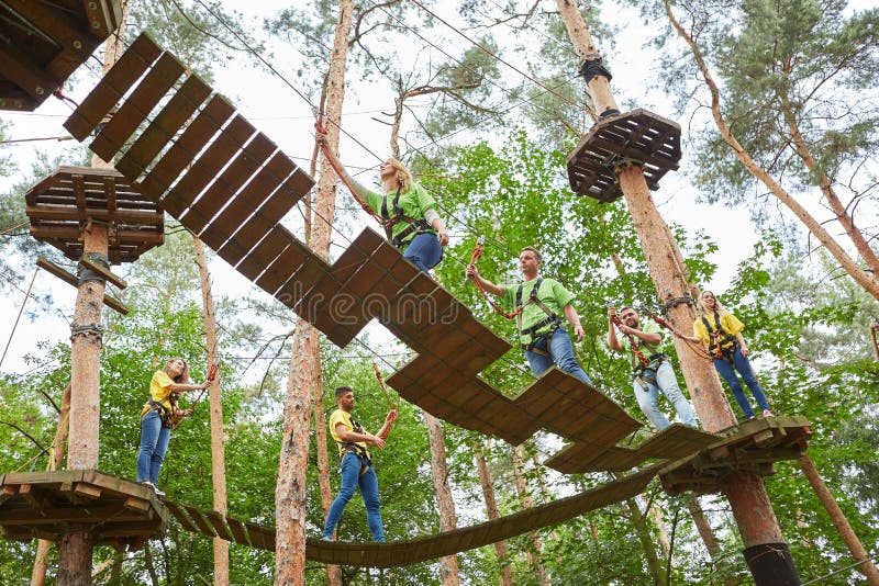 Group Crosses a Bend in the High Ropes Course Stock Photo - Image of ...