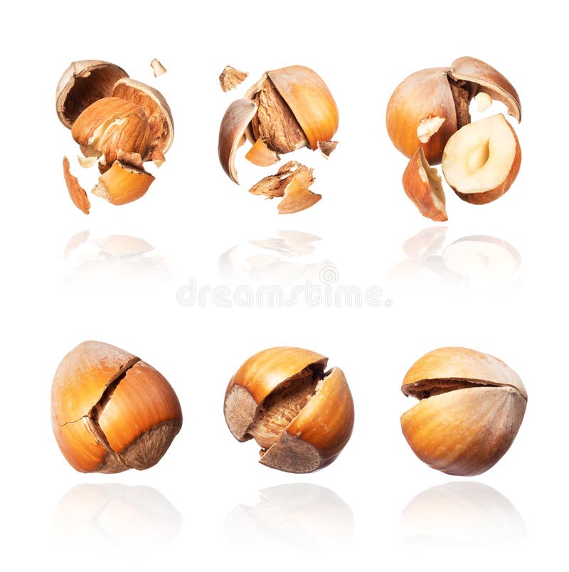 244 Hazelnut Explosion Stock Photos - Free & Royalty-Free Stock Photos ...