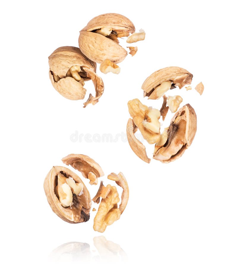 Crushed walnuts stock photo. Image of open, object, brown - 18292814