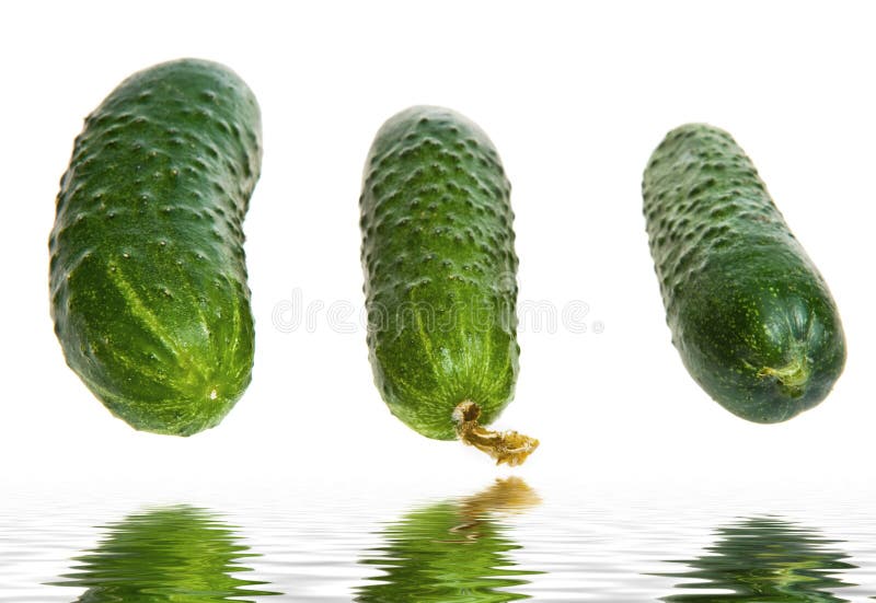 Group of cucumbers stock image. Image of green, edible - 5958521