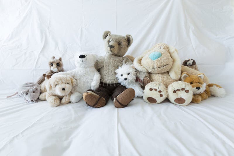 Group of Cute Stuffed Animals on a White Couch Stock Image - Image of ...