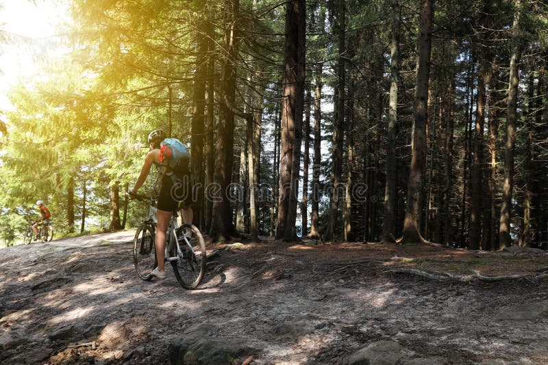Group of Cyclists Riding Bikes Down Forest Stock Image - Image of ...