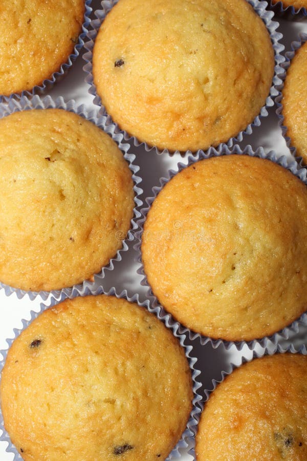 Group of delicious muffins stock image. Image of breakfast - 14632719