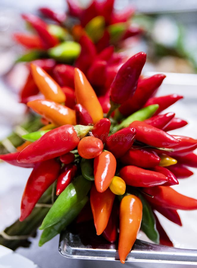 A Group of Different Chilli Pepper Stock Image - Image of heat, chilli ...