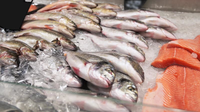 Group of Different Fish, Dorada and Salmon on Ice. Counter with Fresh ...