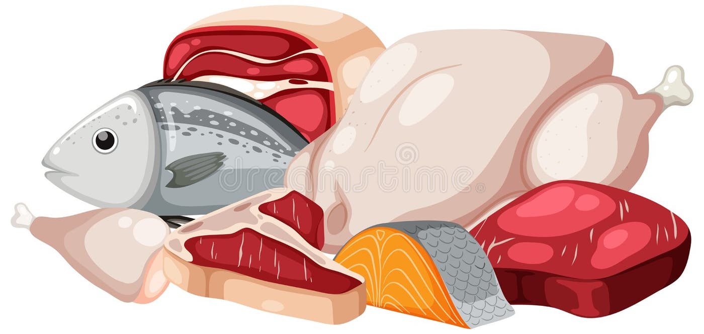 Fresh Meats Fish Stock Illustrations – 455 Fresh Meats Fish Stock ...