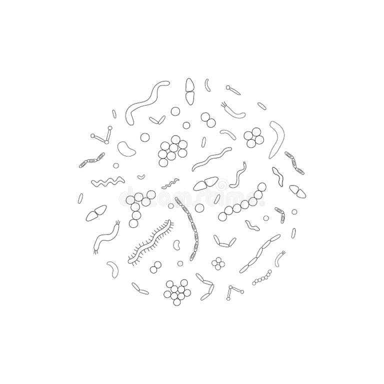 Simple Black Outline Bacterias Group Stock Illustrations – 2 Simple ...