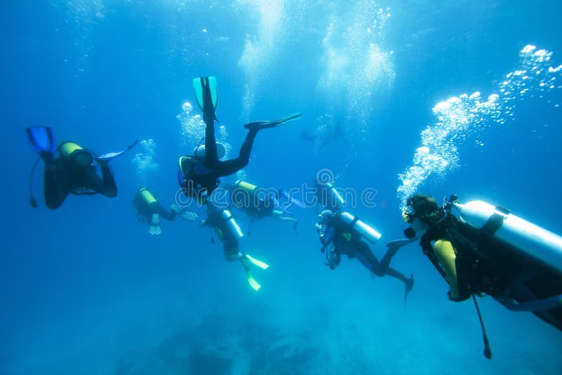 Scuba diver group lesson stock photo. Image of finding - 2677402