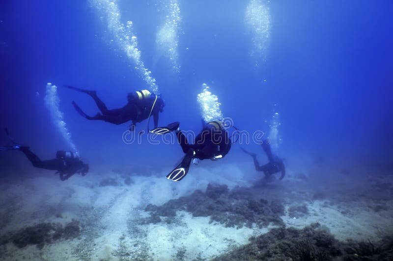 Group of Divers at the Bottom of the Sea Stock Image - Image of seaside ...