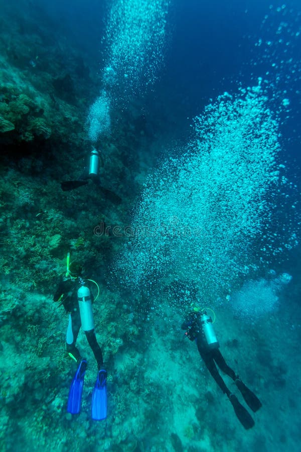 Group of divers going deep stock image. Image of tropical - 75355899
