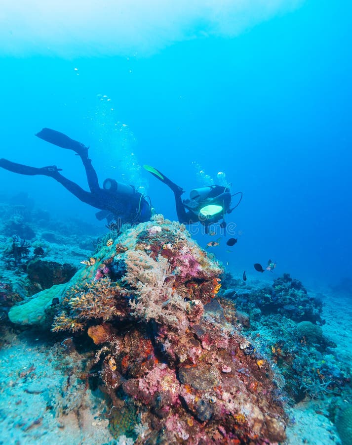 Group of divers going deep stock image. Image of safety - 75687523