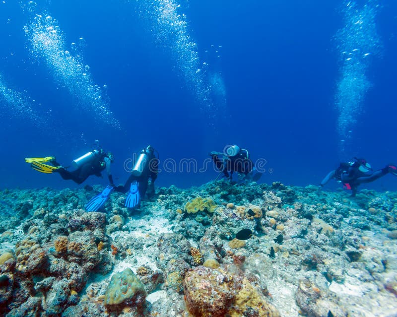 Group of Divers Hanging on Reef Wall in Strong Current Stock Photo ...