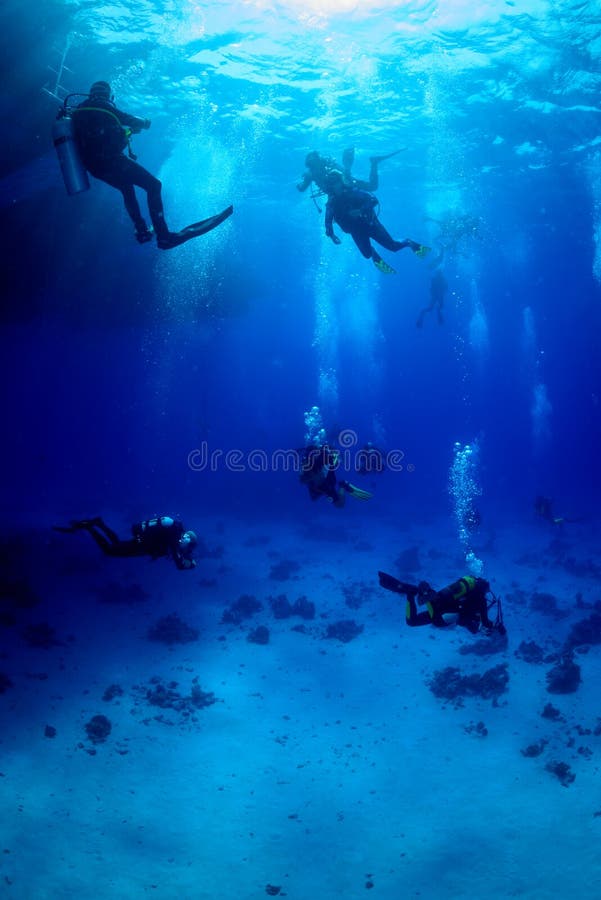 Group of divers stock photo. Image of bottom, deep, divers - 176938194