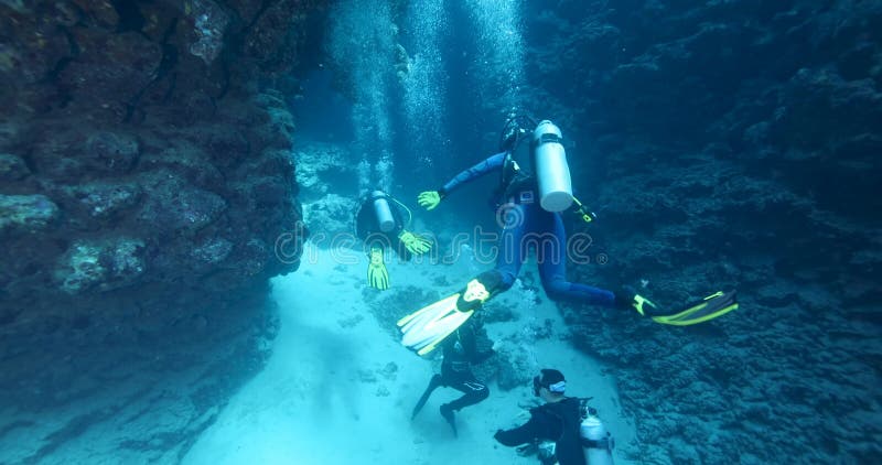 Group of Divers Swimming in an Underwater Cave Canyon. Diving ...