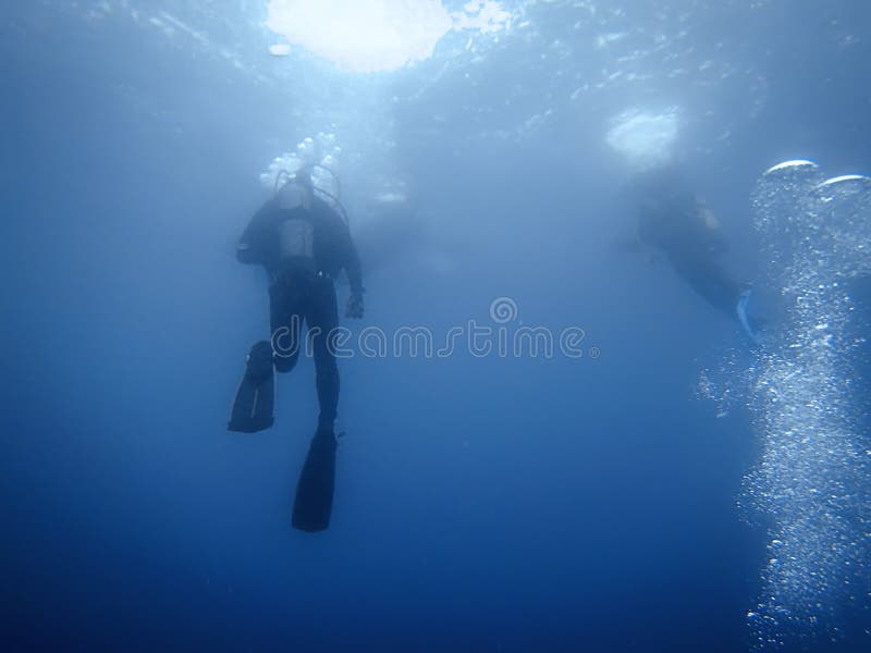 Group Jogging. Young People Running in Park. People Running Outdoor ...
