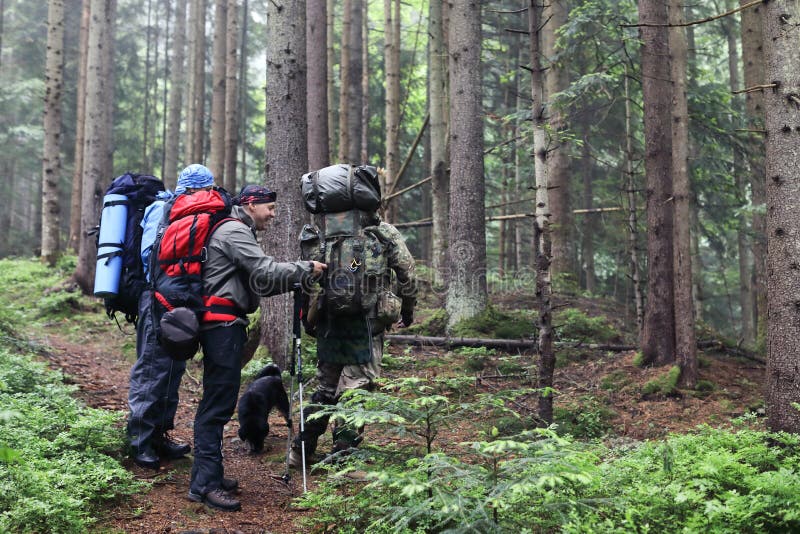 Three Men Hike in Forest with Backpack for Trekking Stock Image - Image ...
