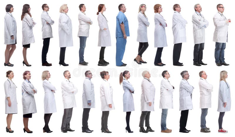 Group of Doctors in Profile Isolated on White Stock Image - Image of ...