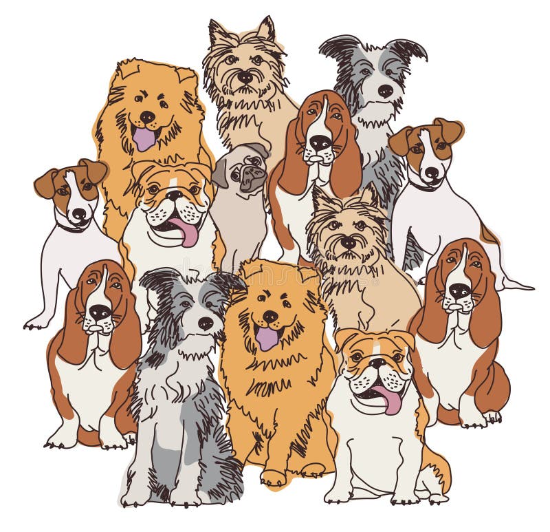 Group Dogs Color Isolate on White Stock Vector - Illustration of ...