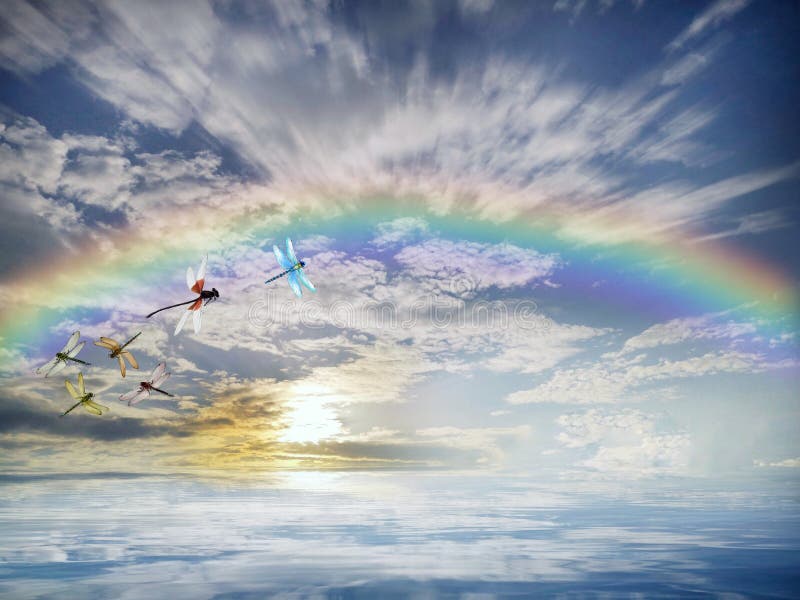 Group of Dragon Flays Flying Isolated in Color Background Stock Photo ...