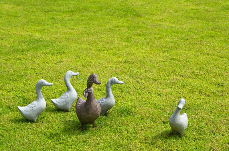 Group of ducks. stock photo. Image of doll, group, happy - 24717126