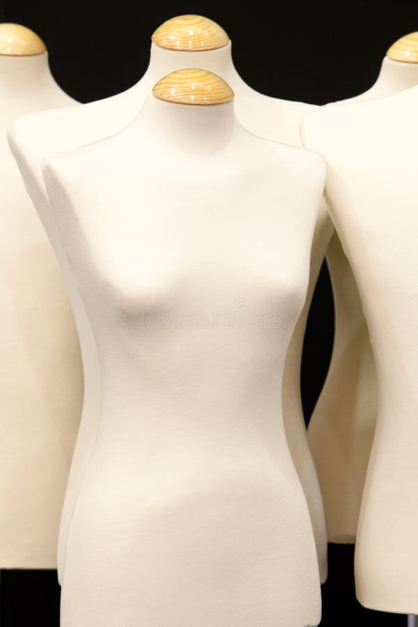 Torso Display stock image. Image of hanging, forms, form - 10697323