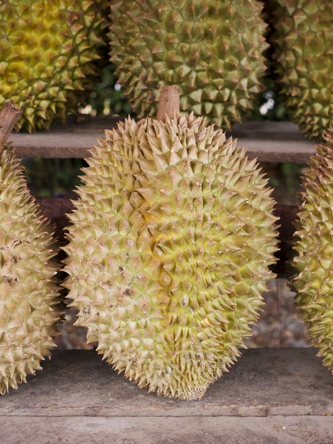 265 Floating Durian Fruit Stock Photos - Free & Royalty-Free Stock ...