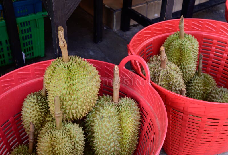Group Durians Fruit Prepare in the Basket for Sale Stock Photo - Image ...