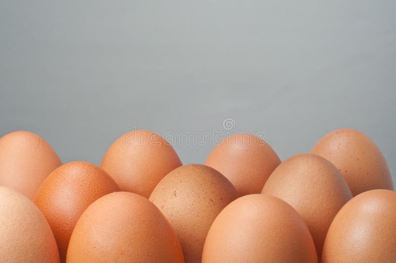 A group of egg stock photo. Image of brown, protein, chick - 22374624