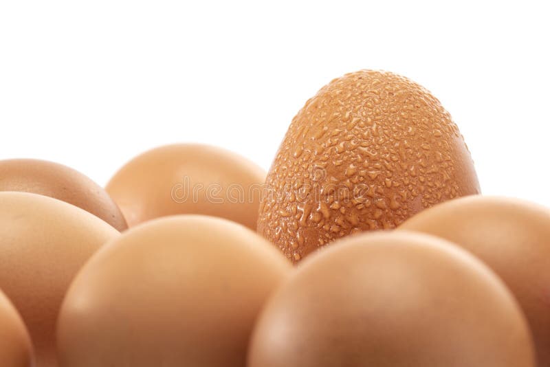 Surroundding Stock Photos - Free & Royalty-Free Stock Photos from ...