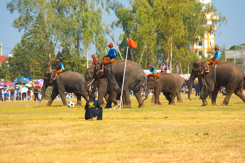 Group Elephants Playing Soccer Editorial Image - Image of sports, isan ...