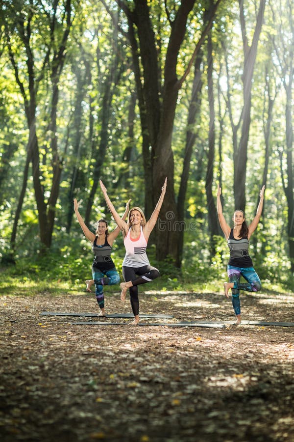 Group exercises in nature stock image. Image of peace - 69806847
