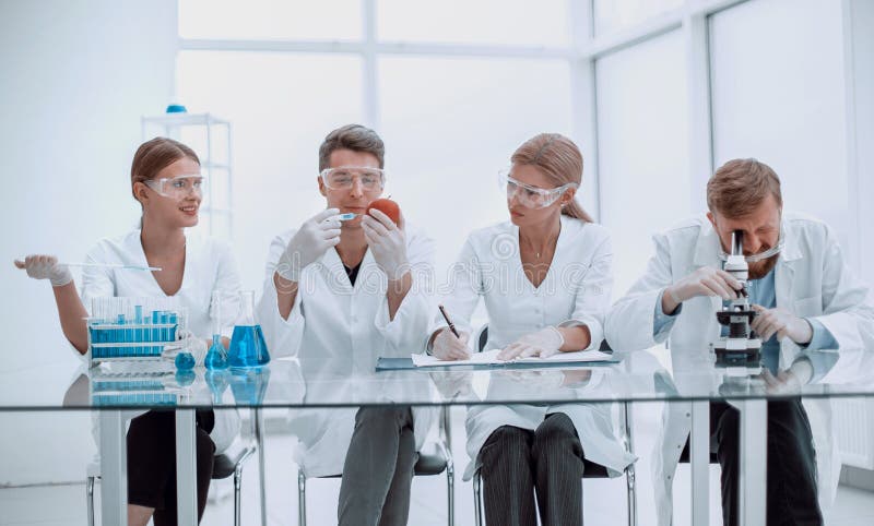 Group of Experts Checking the Quality of Apples Stock Photo - Image of ...