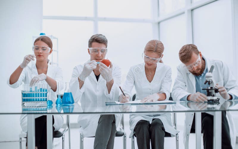 Group of Experts Checking the Quality of Apples Stock Image - Image of ...