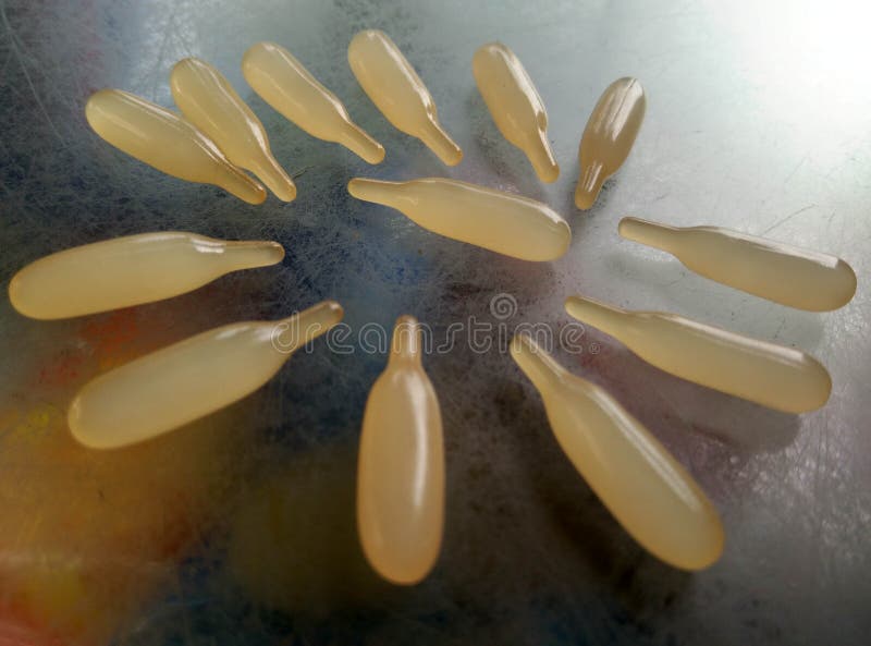 Eye drop capsules stock photo. Image of infection, cure - 197124184
