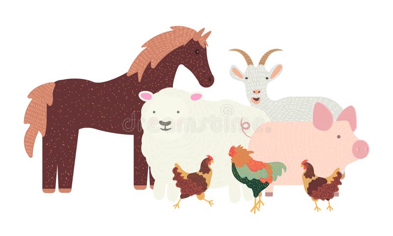 Group of farm animals stock image. Image of studio, sheep - 25655585